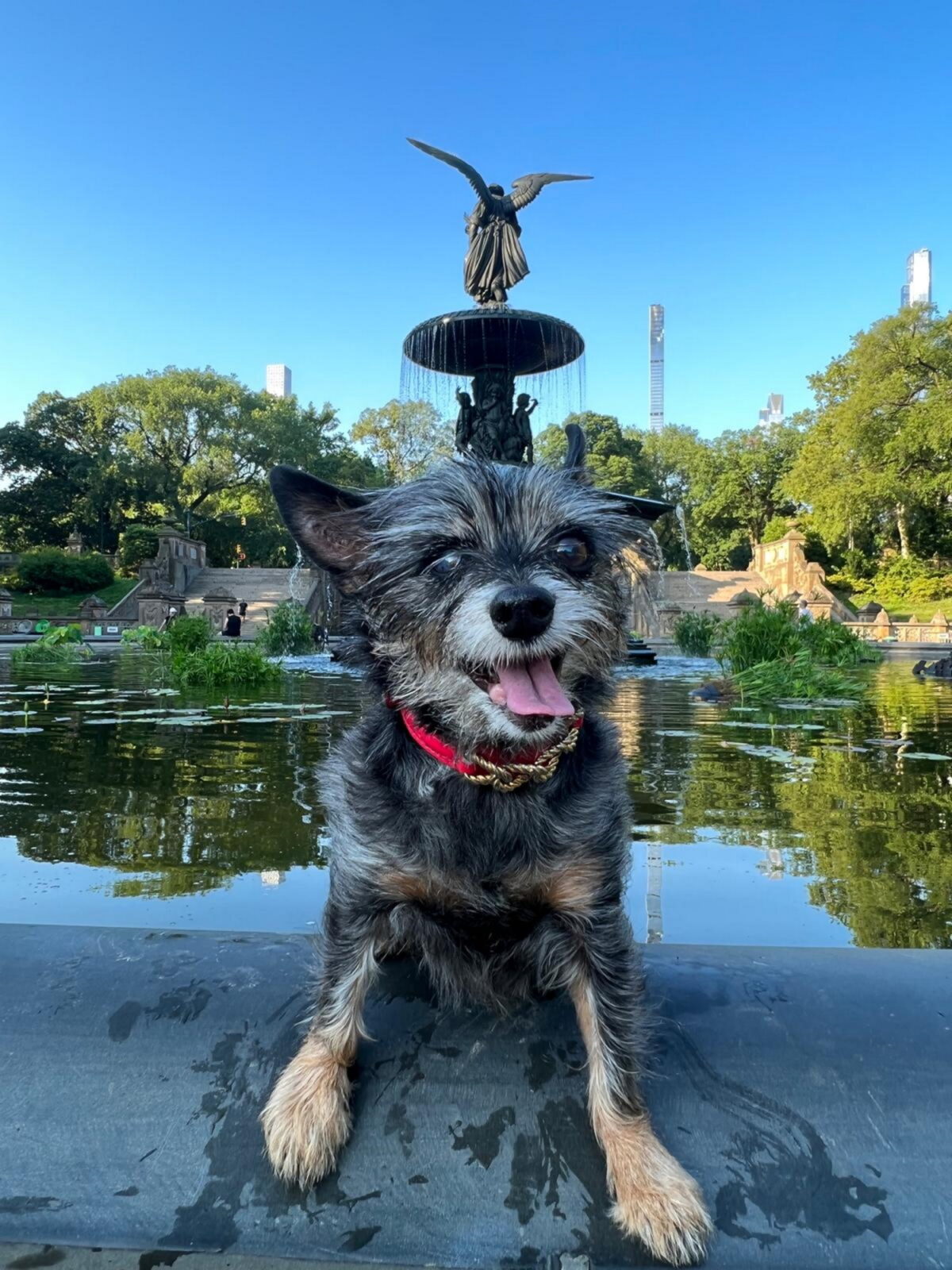 Reiki Energy Healing - School for Blissful SoulsSchool for Blissful Souls